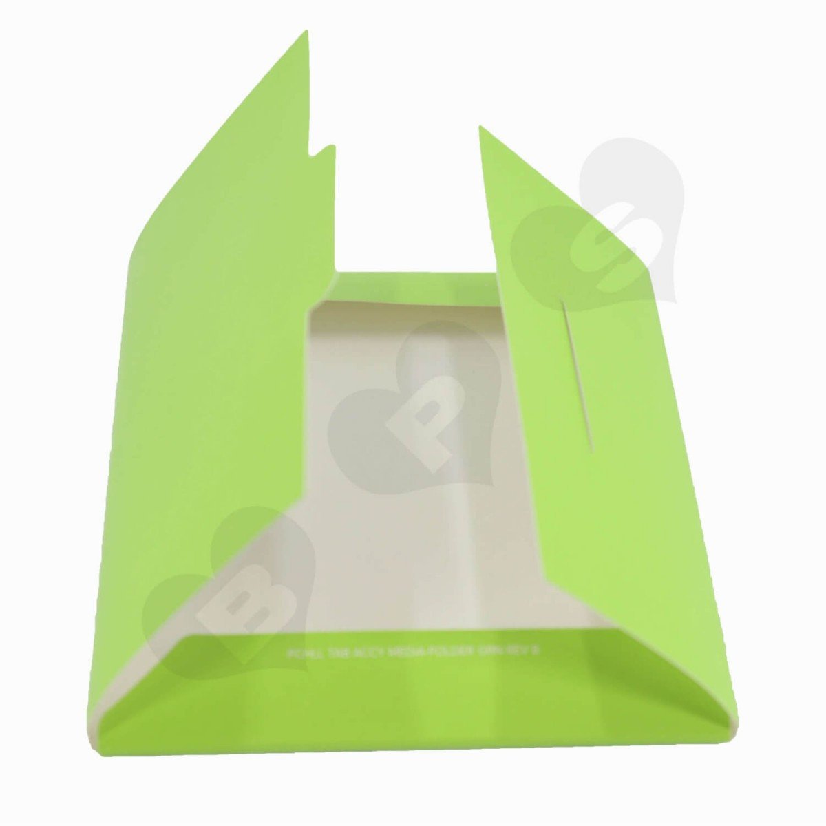 Green Paperboard Folder for Instructions- Shanghai BPS