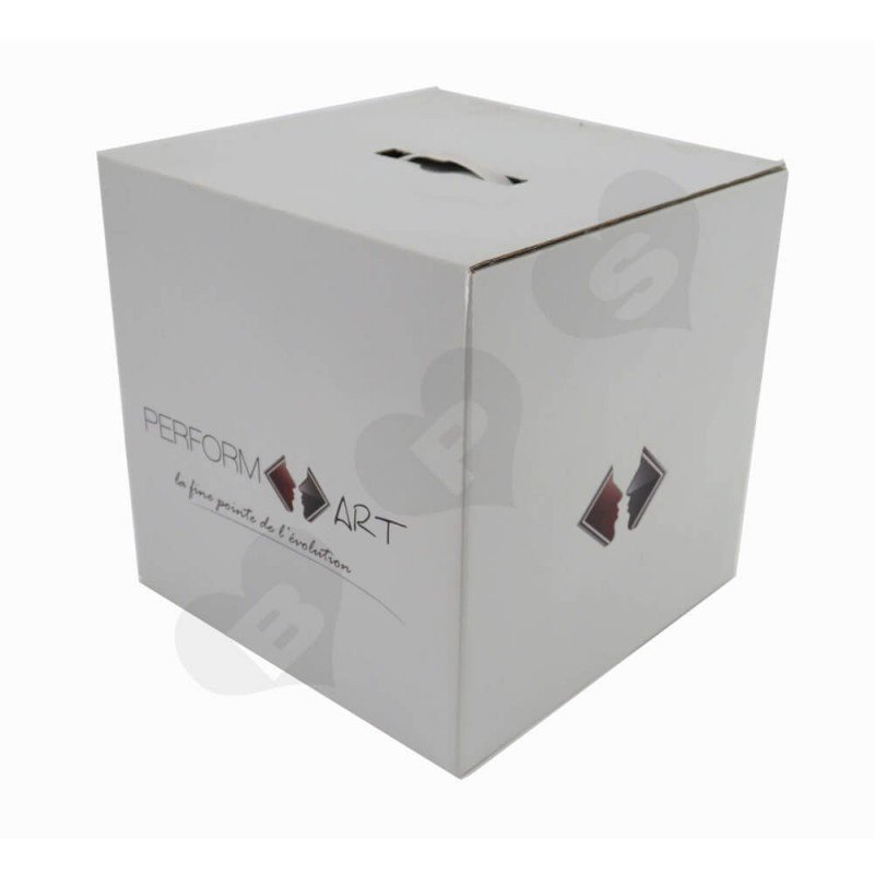 Vacuum Cleaner Packaging Box- Shanghai BPS Team