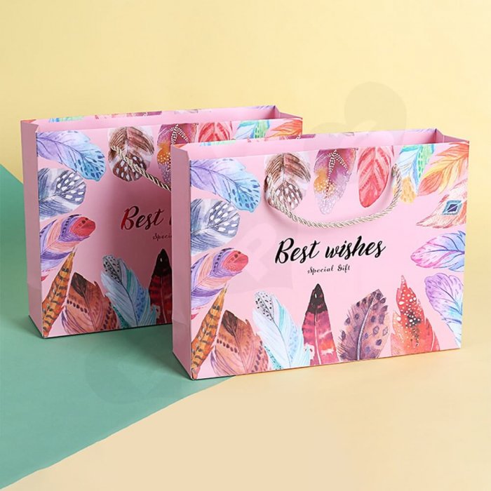 Christmas Gift Packaging Box And Bag- Shanghai Custom Packaging Co